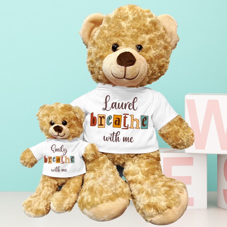 Teddy Bear Gift Comfort Bear Emotional Support Personalized Worry Bear ...
