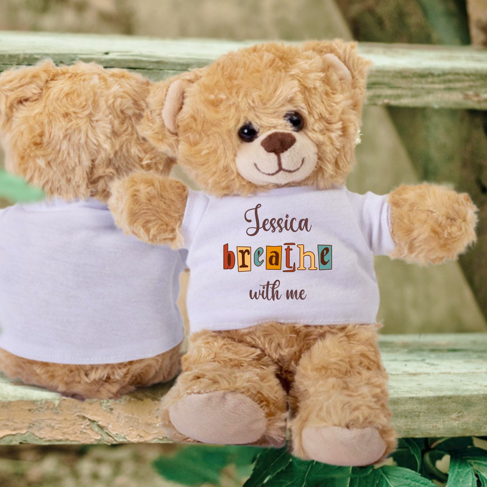 Teddy Bear Gift Comfort Bear Emotional Support Personalized Worry Bear ...