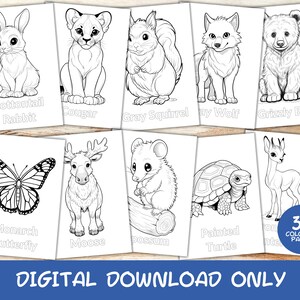 30 World Animals North America Coloring Pages Book With Names, Kids ...