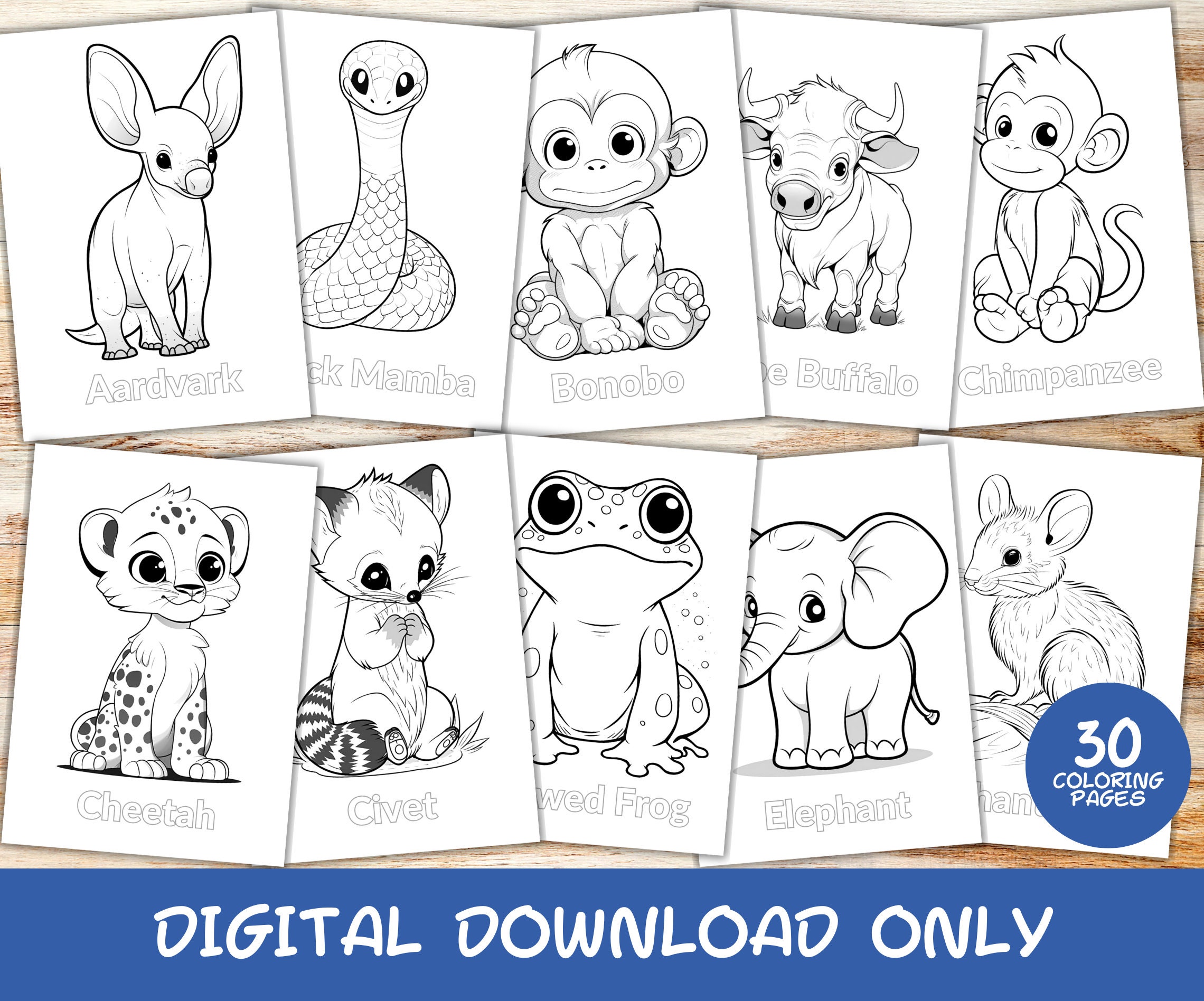 30 World Animals Africa Coloring Pages Book With Names, Kids, Instant ...
