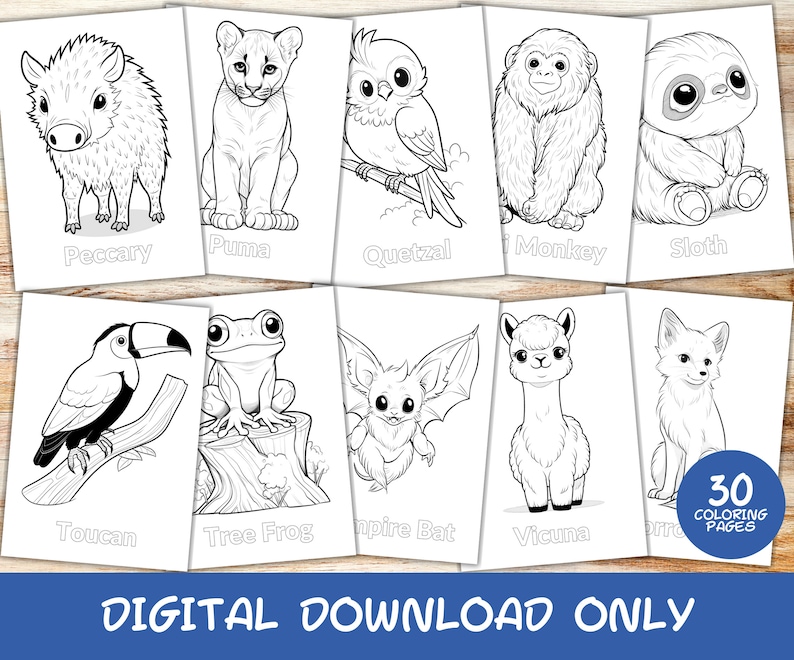 30 World Animals South America Coloring Pages Book With Names, Kids ...