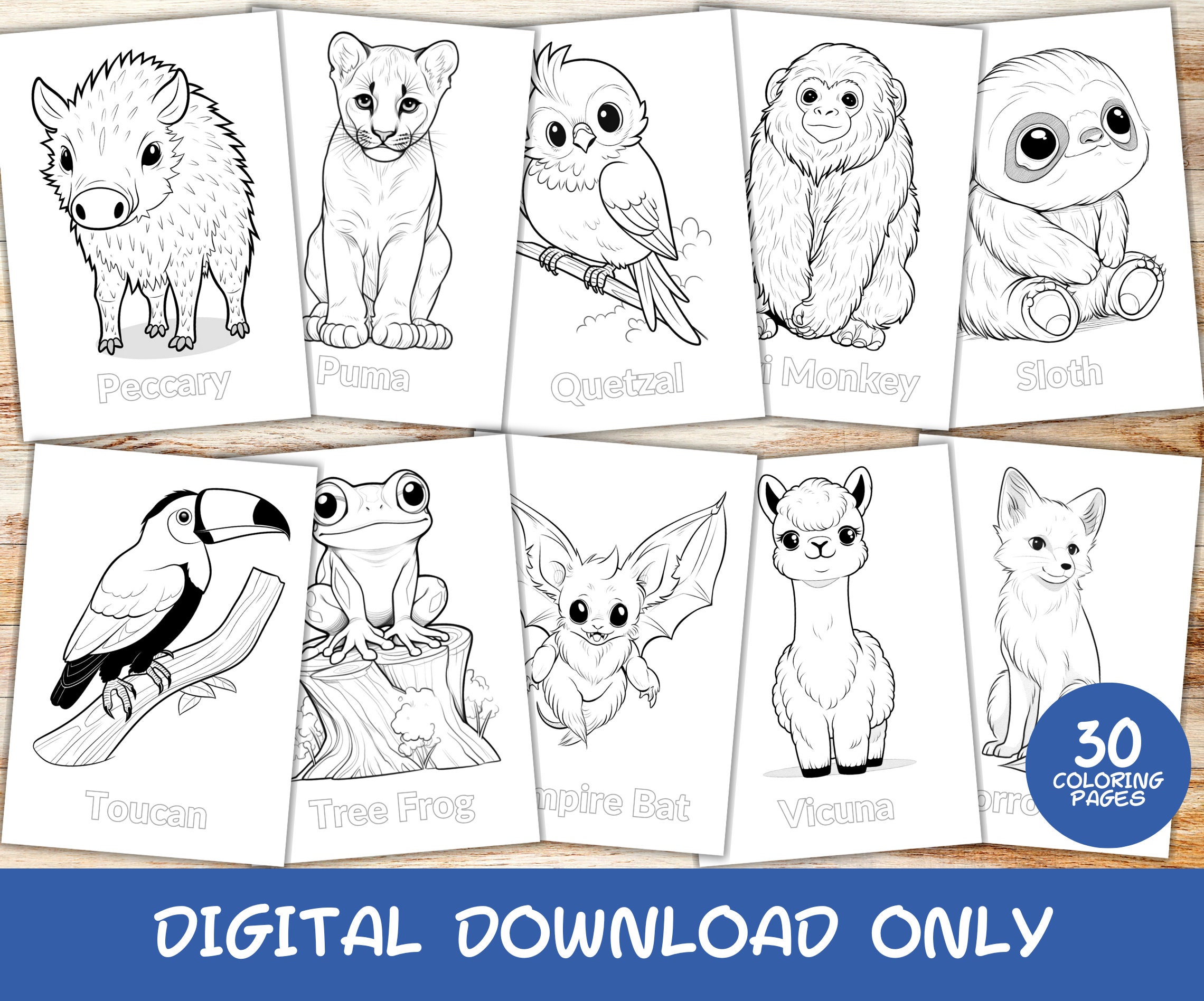 30 World Animals South America Coloring Pages Book With Names - Etsy