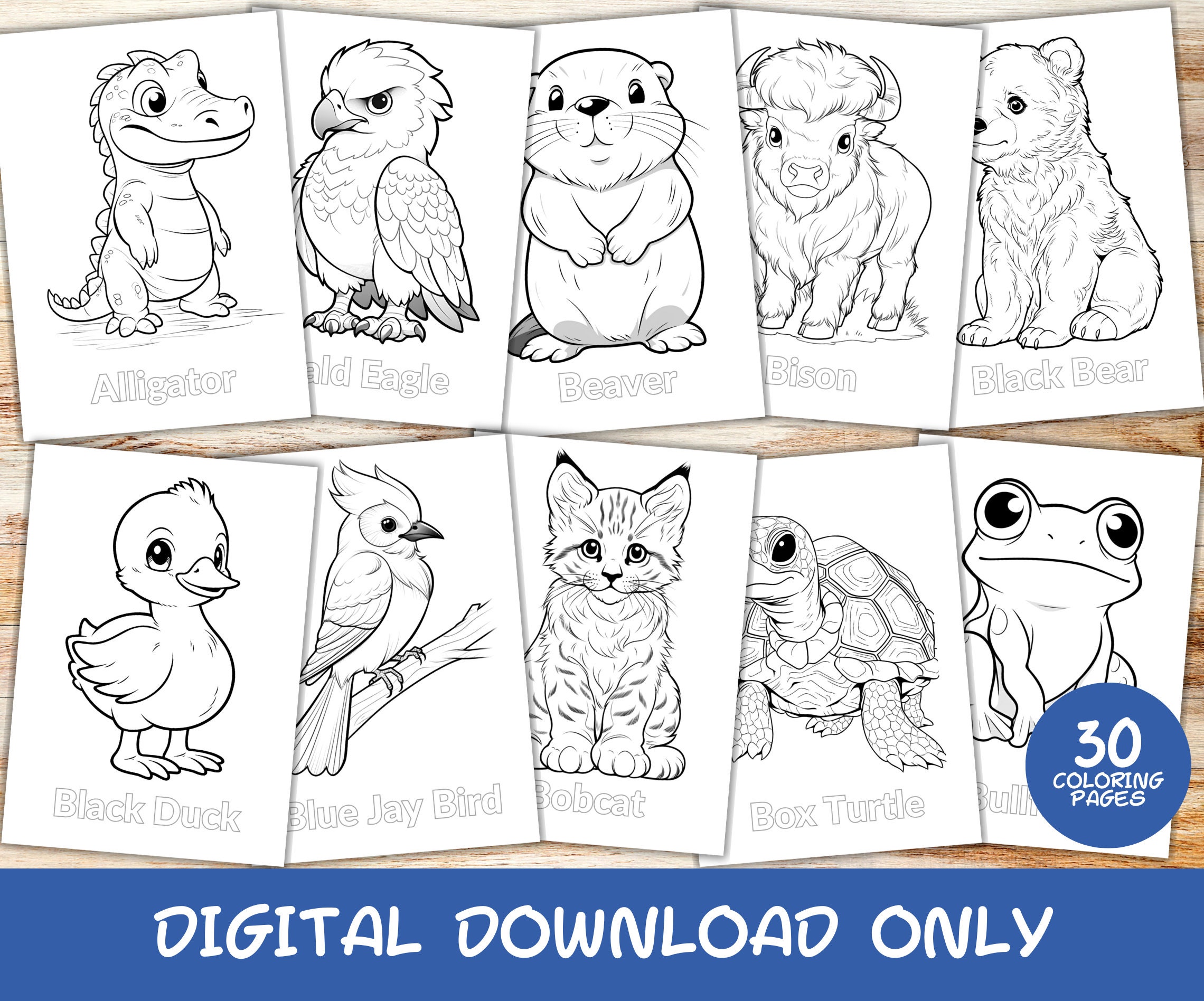 30 World Animals North America Coloring Pages Book With Names - Etsy
