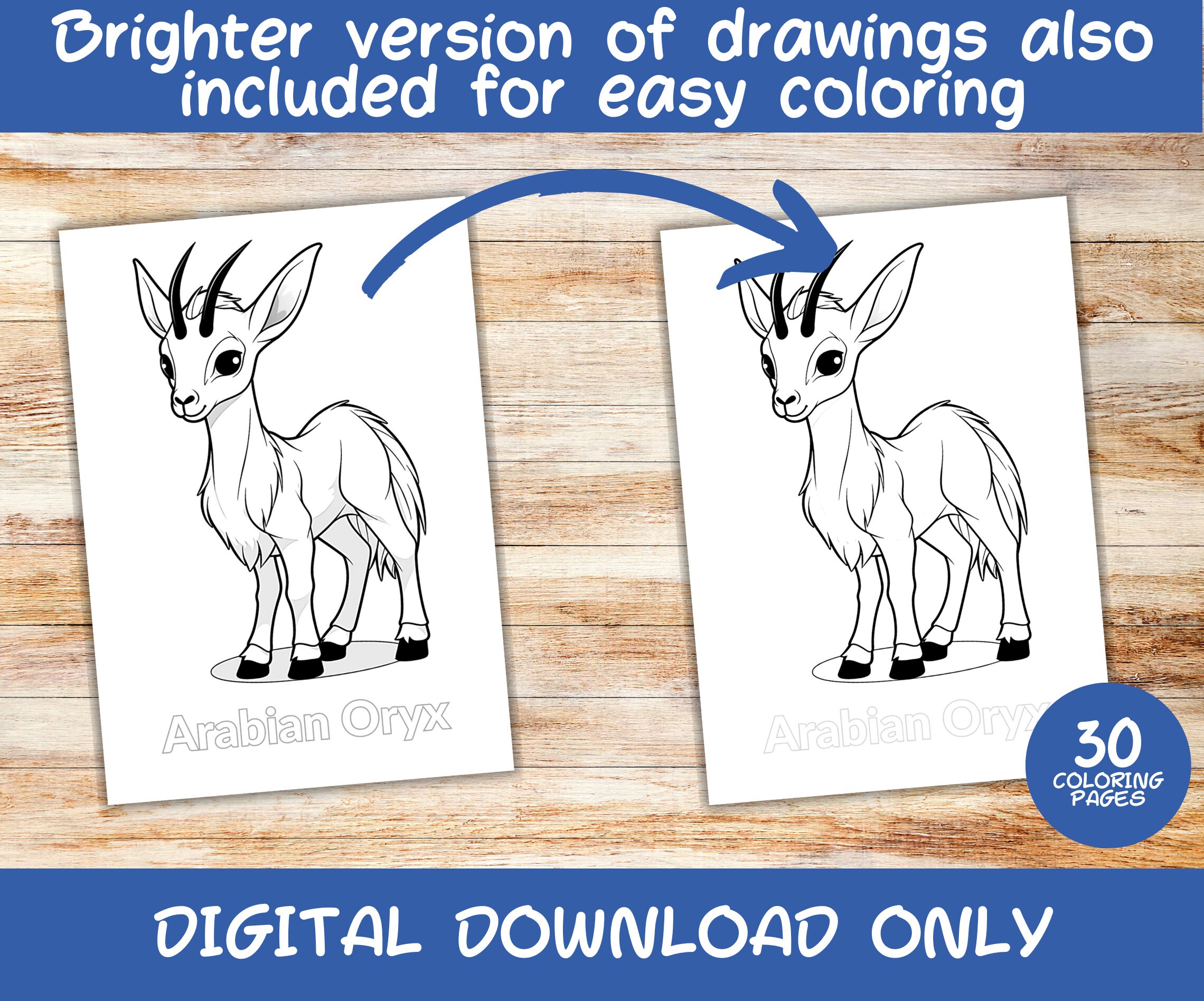 30 World Animals Asia Coloring Pages Book With Names, Kids, Instant ...