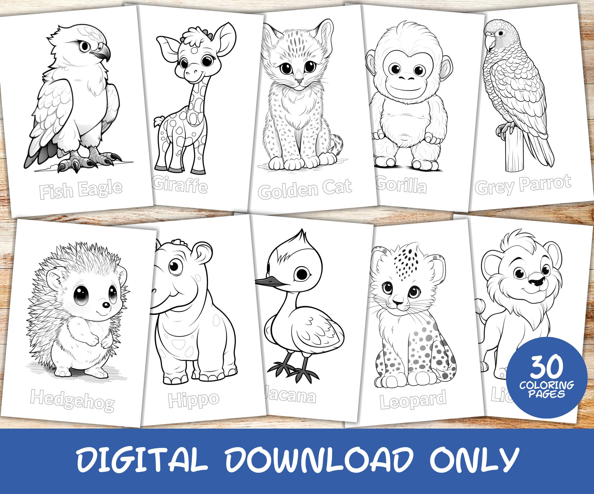 30 World Animals Africa Coloring Pages Book With Names, Kids, Instant ...