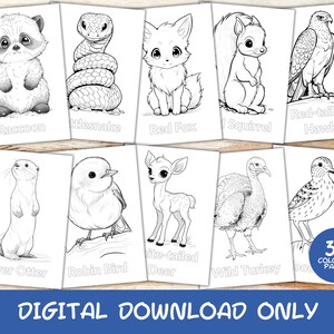 30 World Animals North America Coloring Pages Book With Names, Kids ...