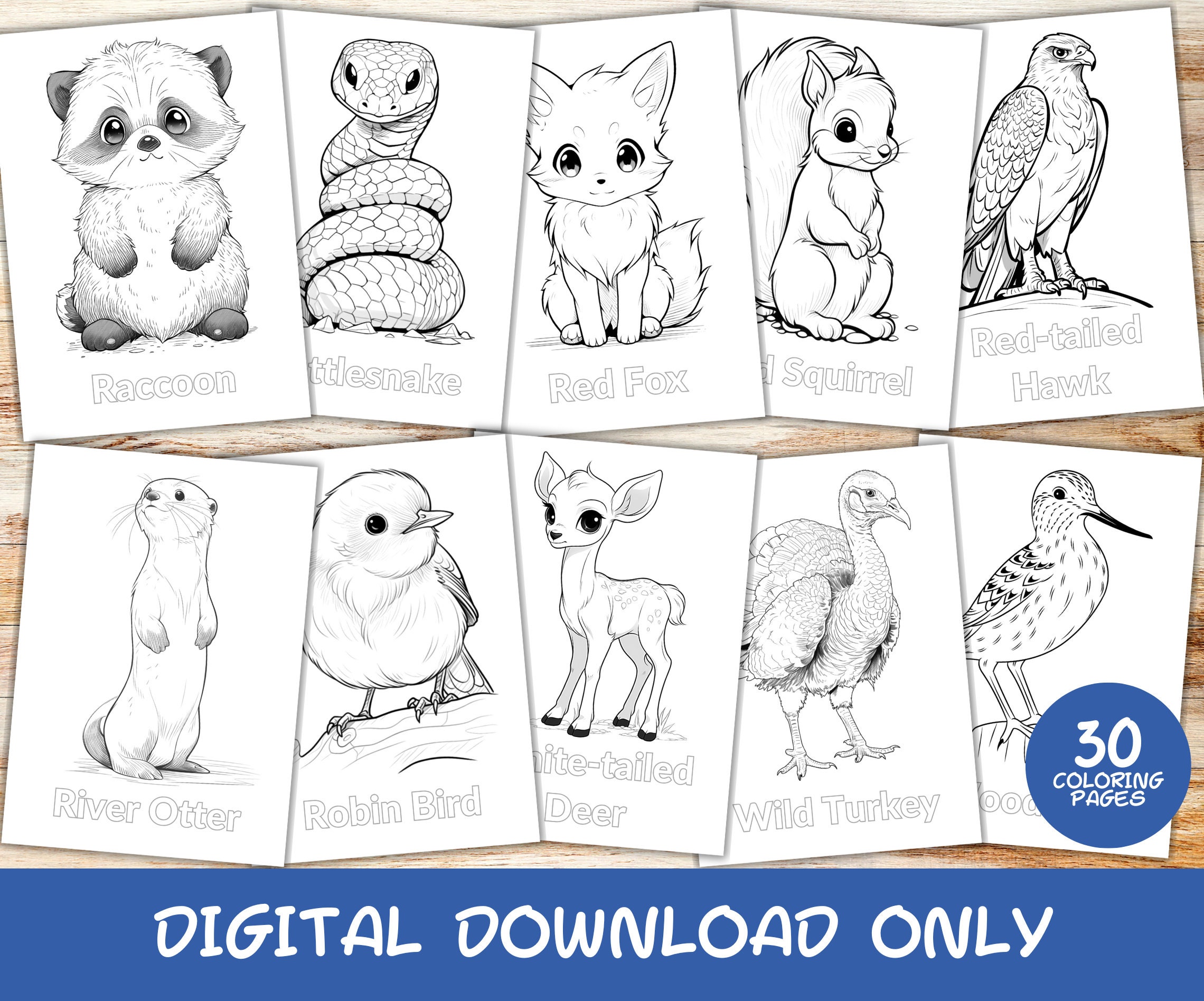 30 World Animals North America Coloring Pages Book With Names - Etsy