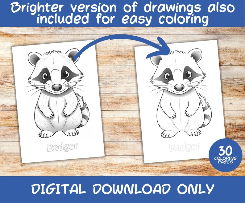 30 World Animals Europe Coloring Pages Book With Names, Kids, Instant ...