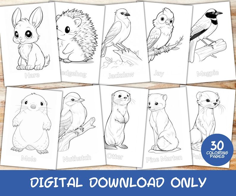 30 World Animals Europe Coloring Pages Book With Names, Kids, Instant ...