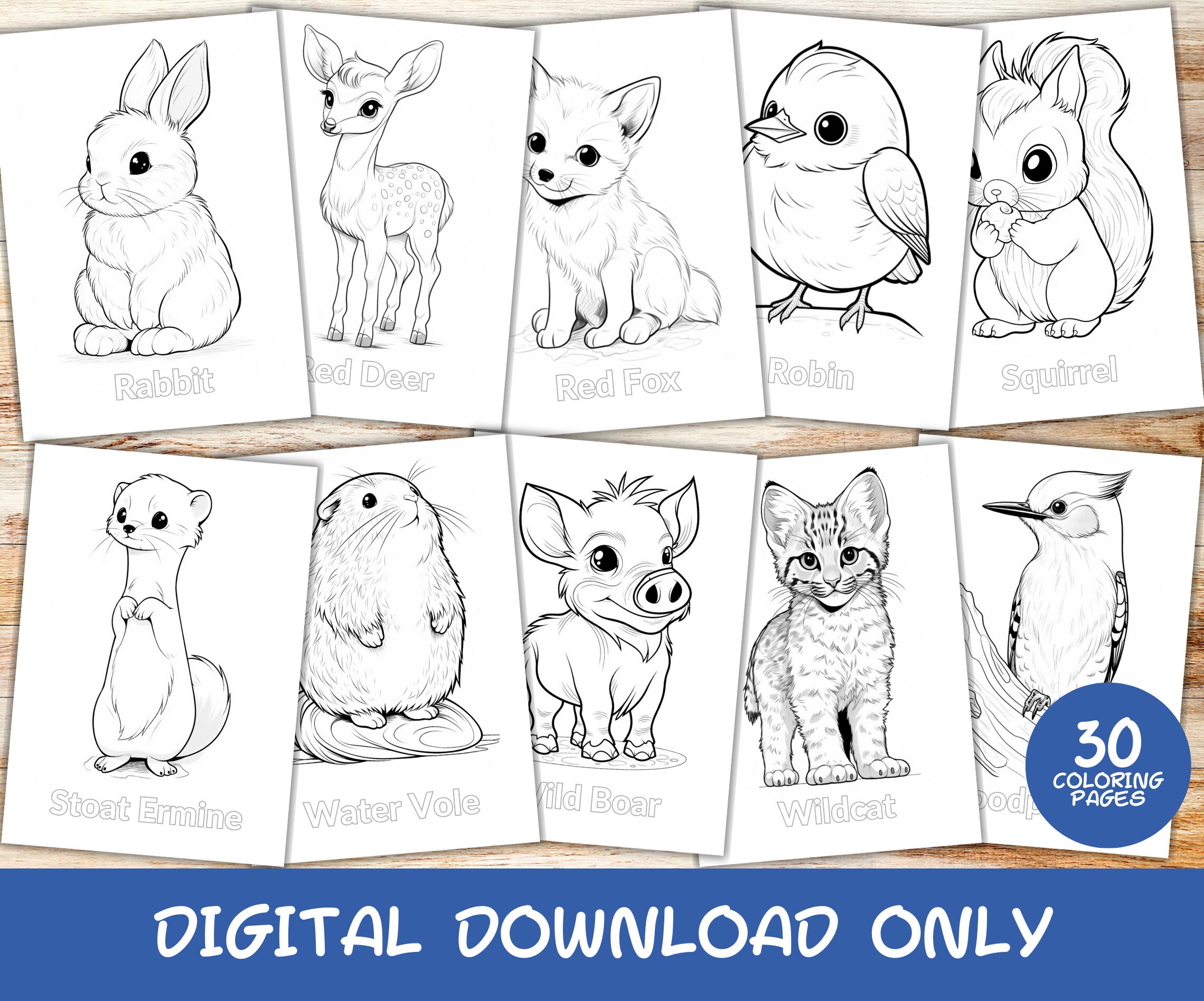 30 World Animals Europe Coloring Pages Book With Names, Kids, Instant ...