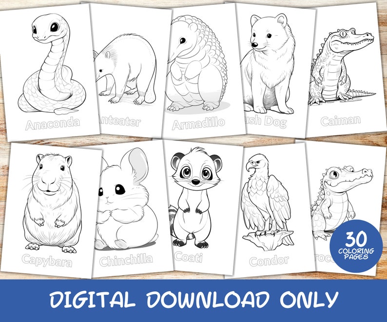 30 World Animals South America Coloring Pages Book With Names, Kids ...