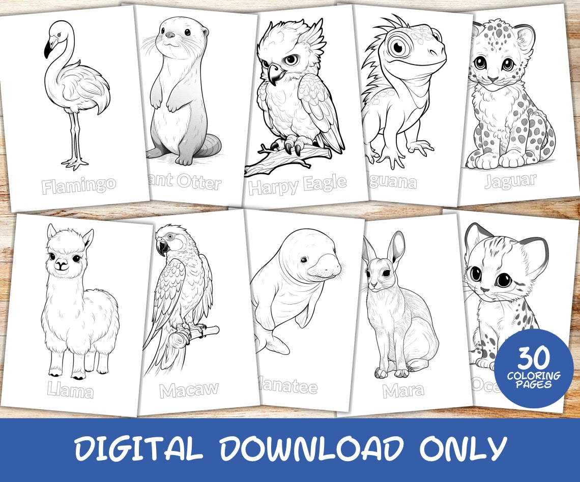 30 World Animals South America Coloring Pages Book With Names, Kids ...