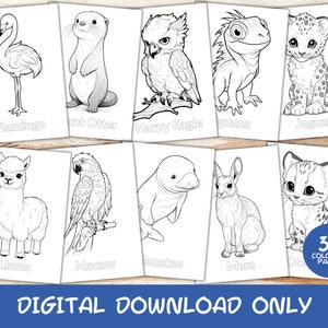 30 World Animals South America Coloring Pages Book With Names, Kids ...