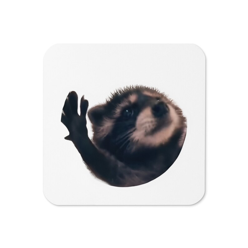 Pedro Racoon Funny Meme Coaster Spinning Dancing Raccoons Coffee ...