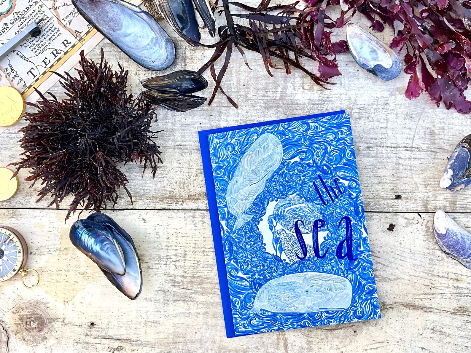 Card Marine Life Card Set Hand Drawn Greeting Card Set All Occasion ...