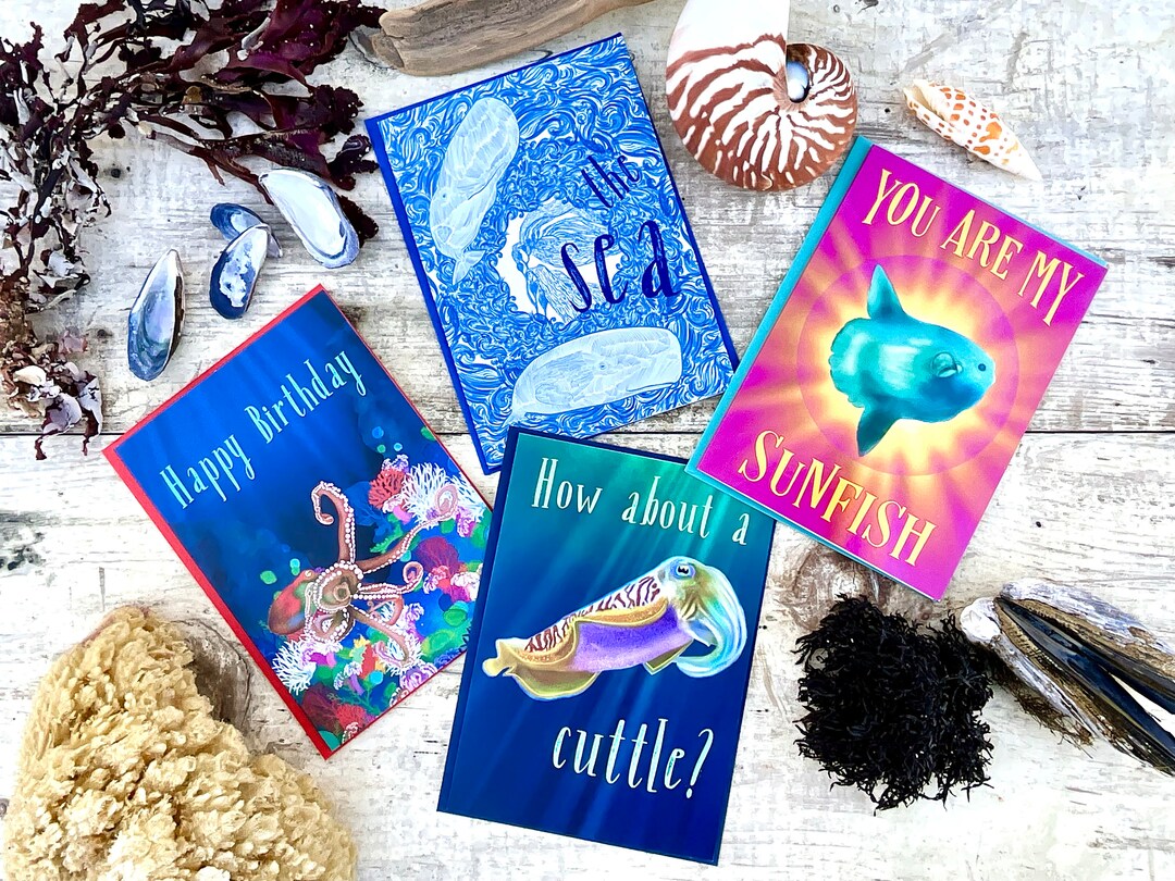 Card Set Marine Life Greeting Card Assortment Set of 4 Hand Drawn ...