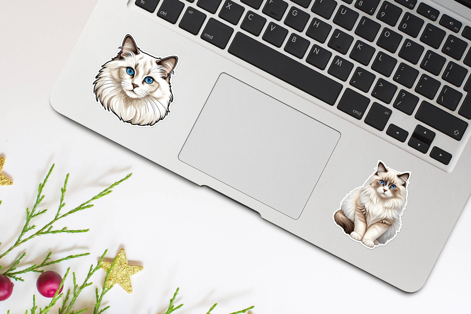 25 Cute RAGDOLL Cat Stickers, Anime Cat, Goodnotes Cat Stickers, Cat ...