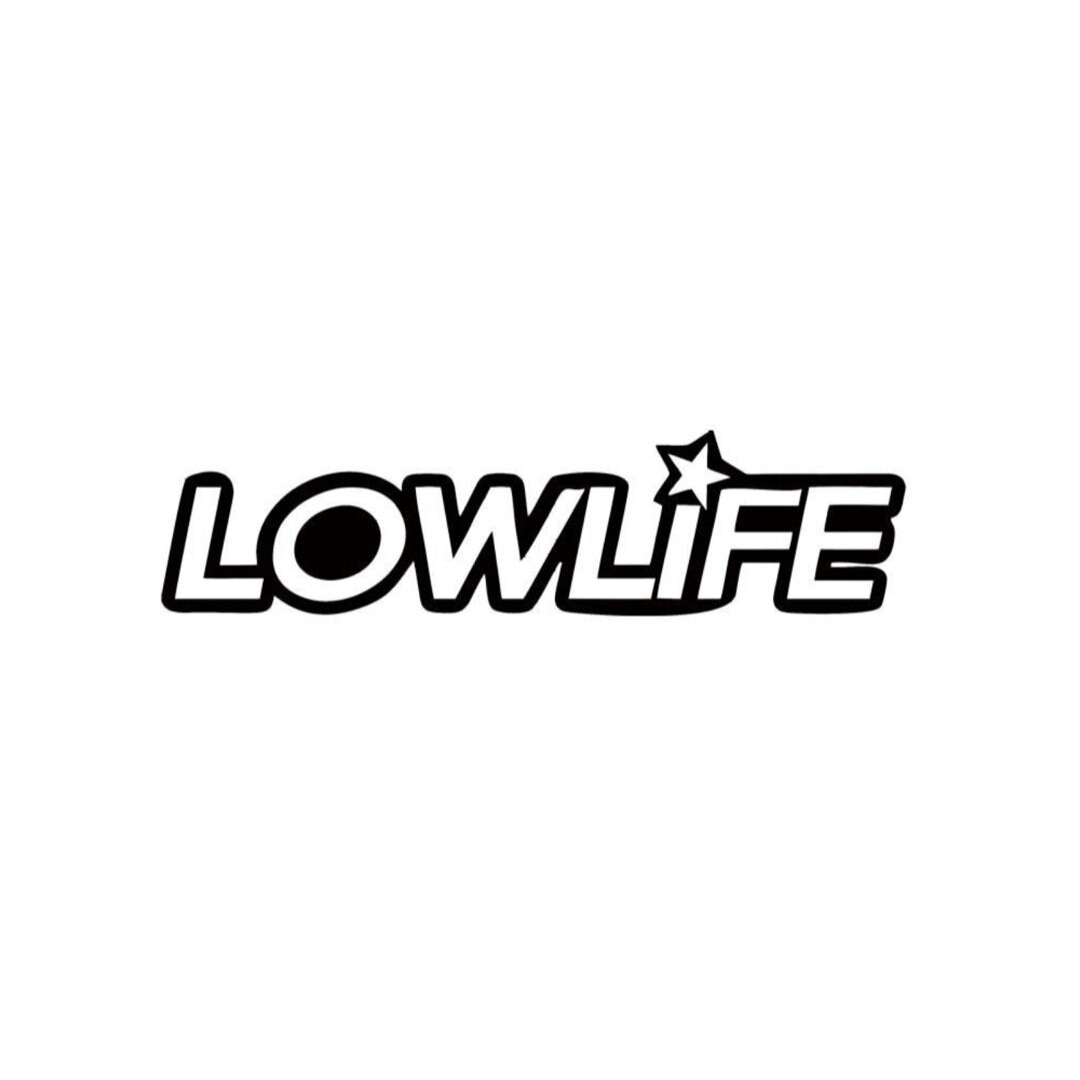Low Life Decal - Etsy
