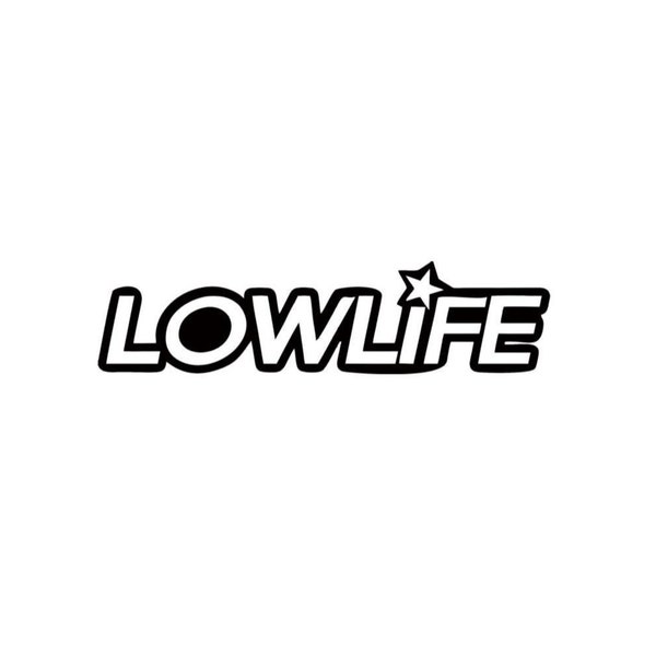 Low Life Car Decal - Etsy
