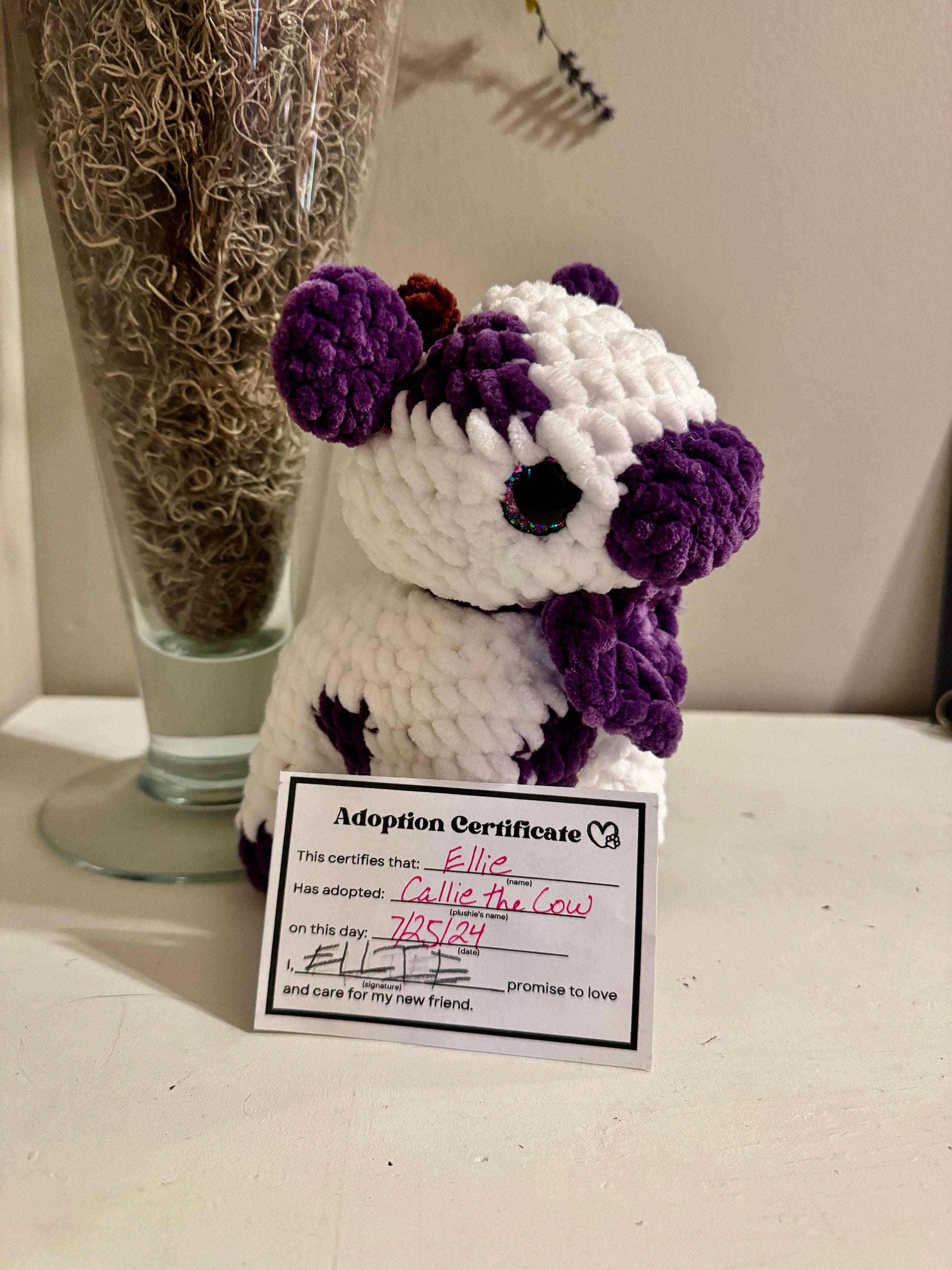 Plushie Adoption Certificate | Printable Toy Adoption Card (digital ...