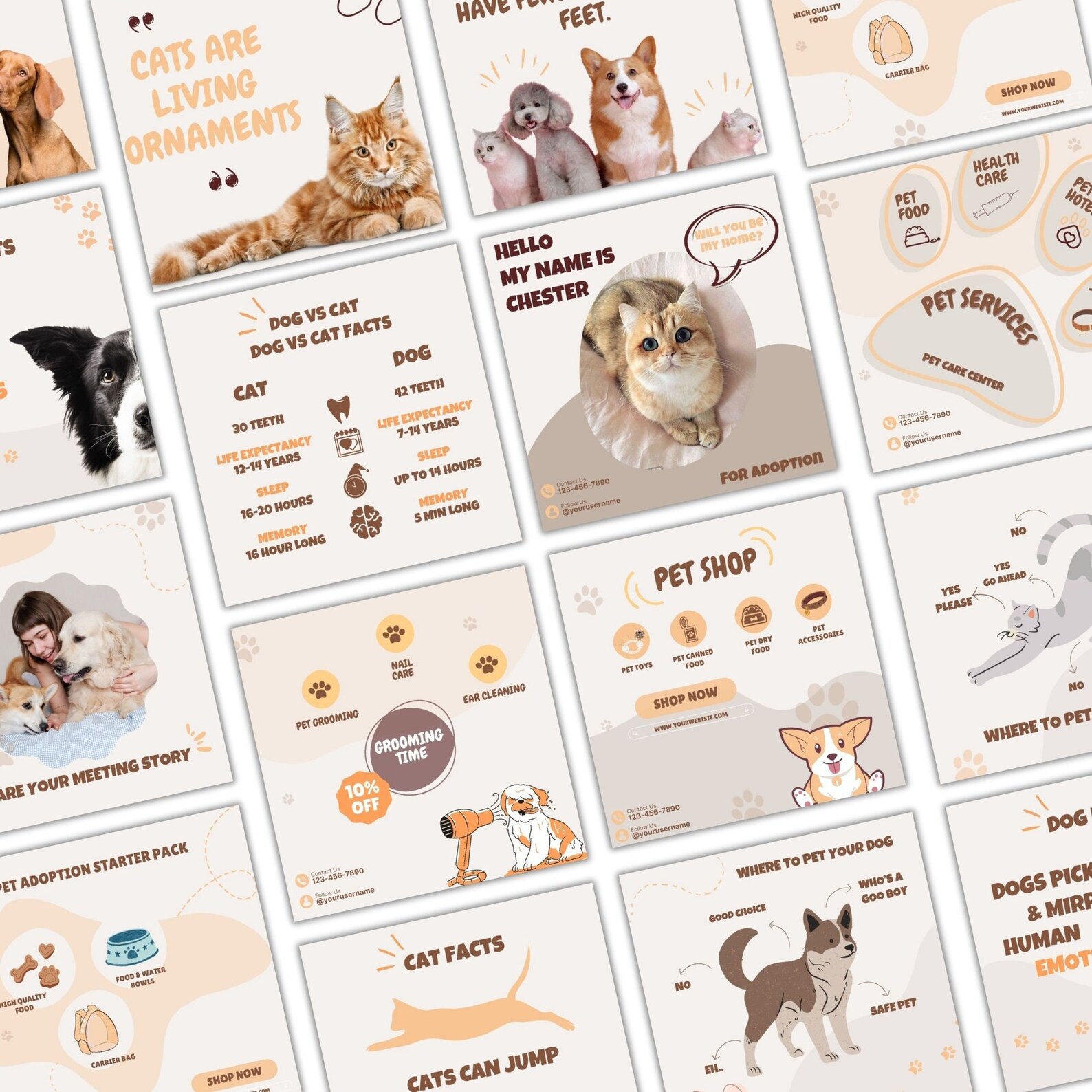 Pet Store Instagram Template, Pet Shop Social Media Content for Pet ...