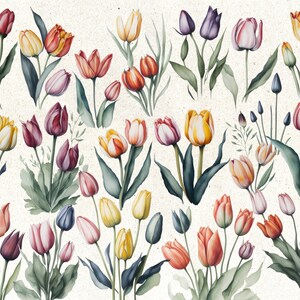 Watercolor Tulips Clipart | Floral Clip Art | Botanical Clip Art | PNG ...