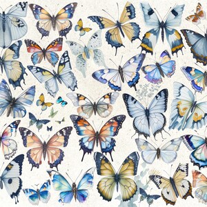 Butterfly Watercolor Clipart Pack Enchanting Flutterfly Delights for ...