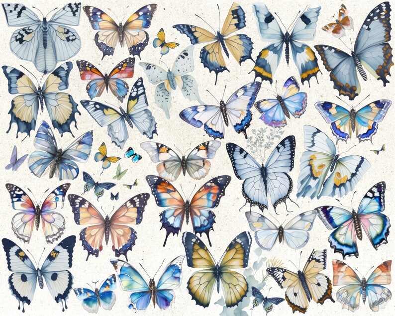 Butterfly Watercolor Clipart Pack Enchanting Flutterfly - Etsy
