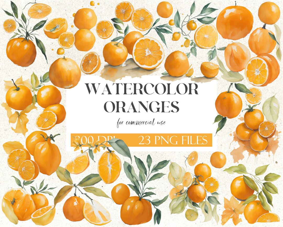Watercolor Oranges Clipart Pack | Colorful Citrus Fruit for ...