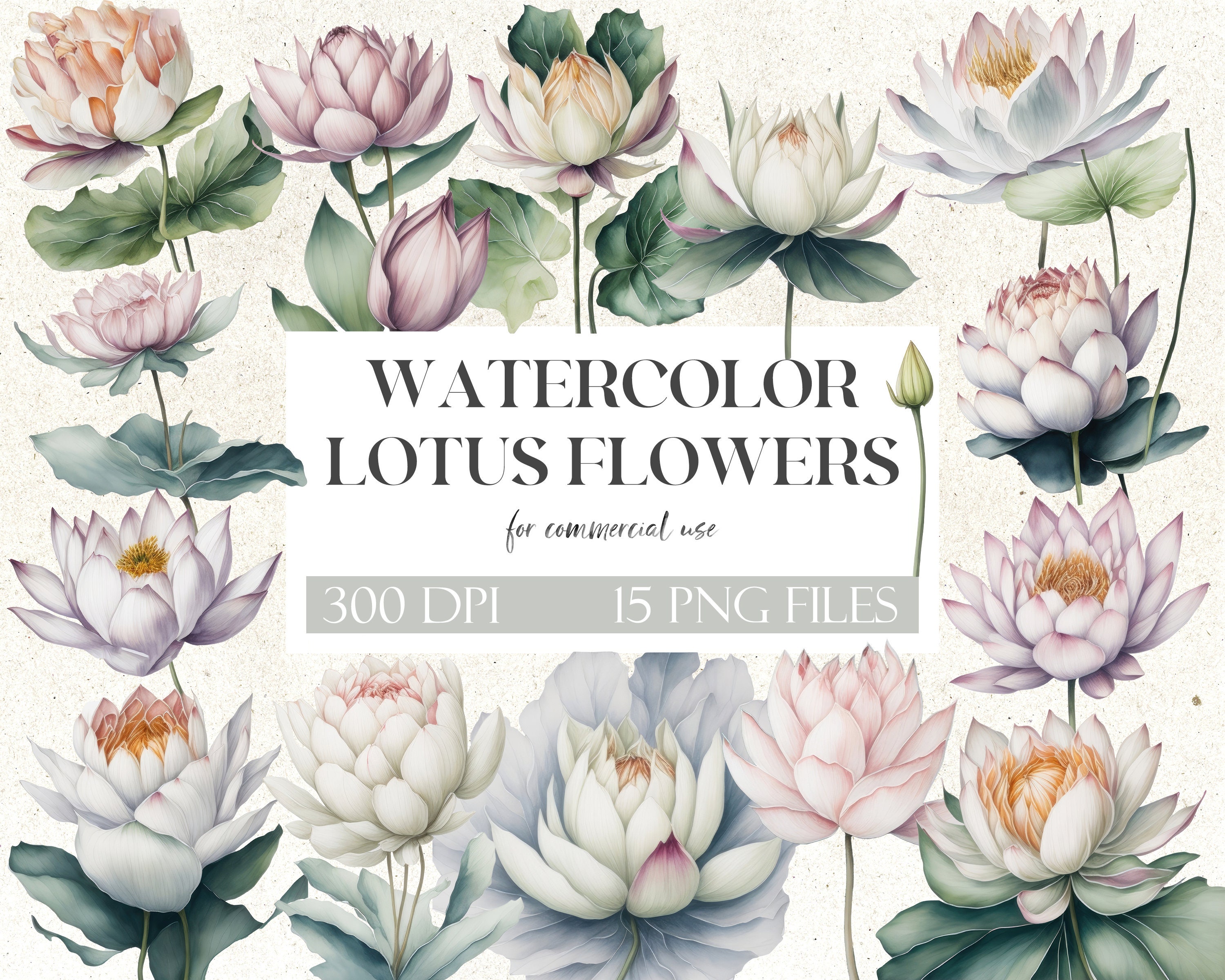 Watercolor Lotus Flowers Clipart Pack Stunning Floral Art for Digital ...