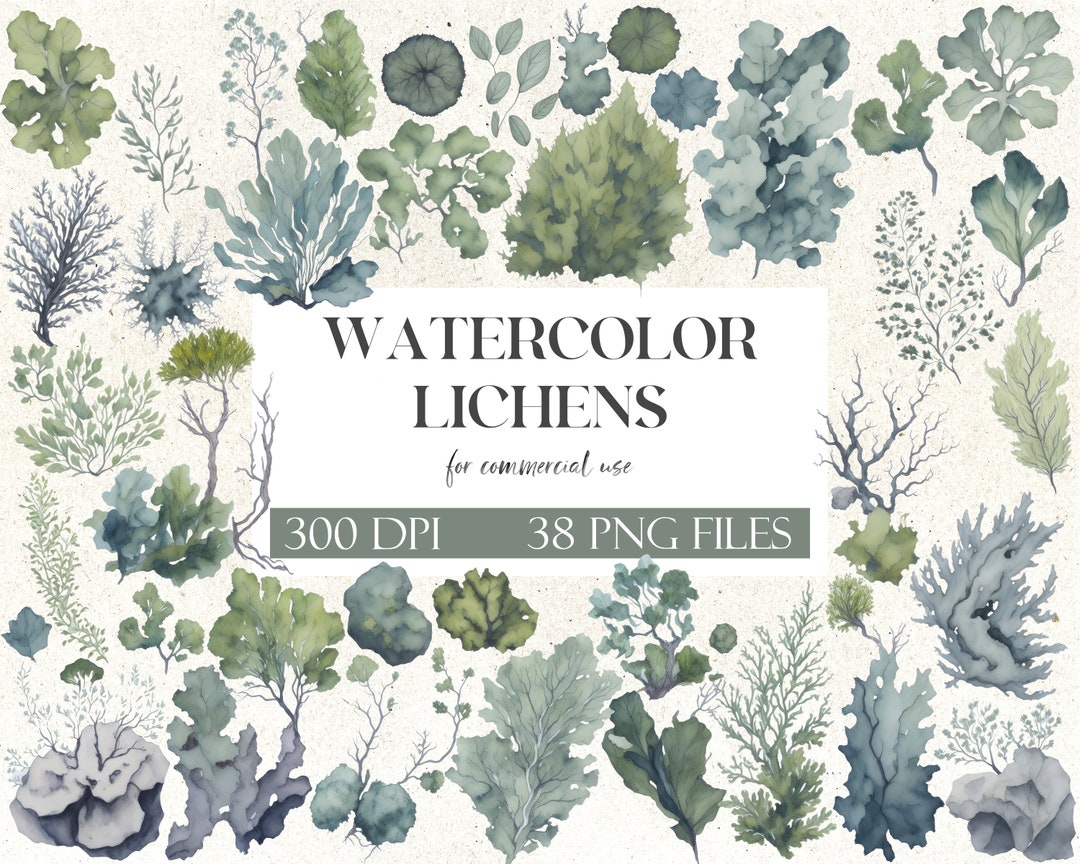 Watercolor Lichens Clipart Pack | Ethereal Nature Art | Nature-inspired ...