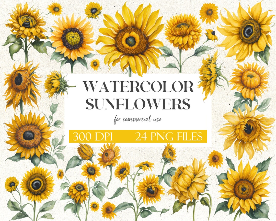 Watercolor Sunflowers Clipart Pack Watercolor Floral Clipart Nature ...
