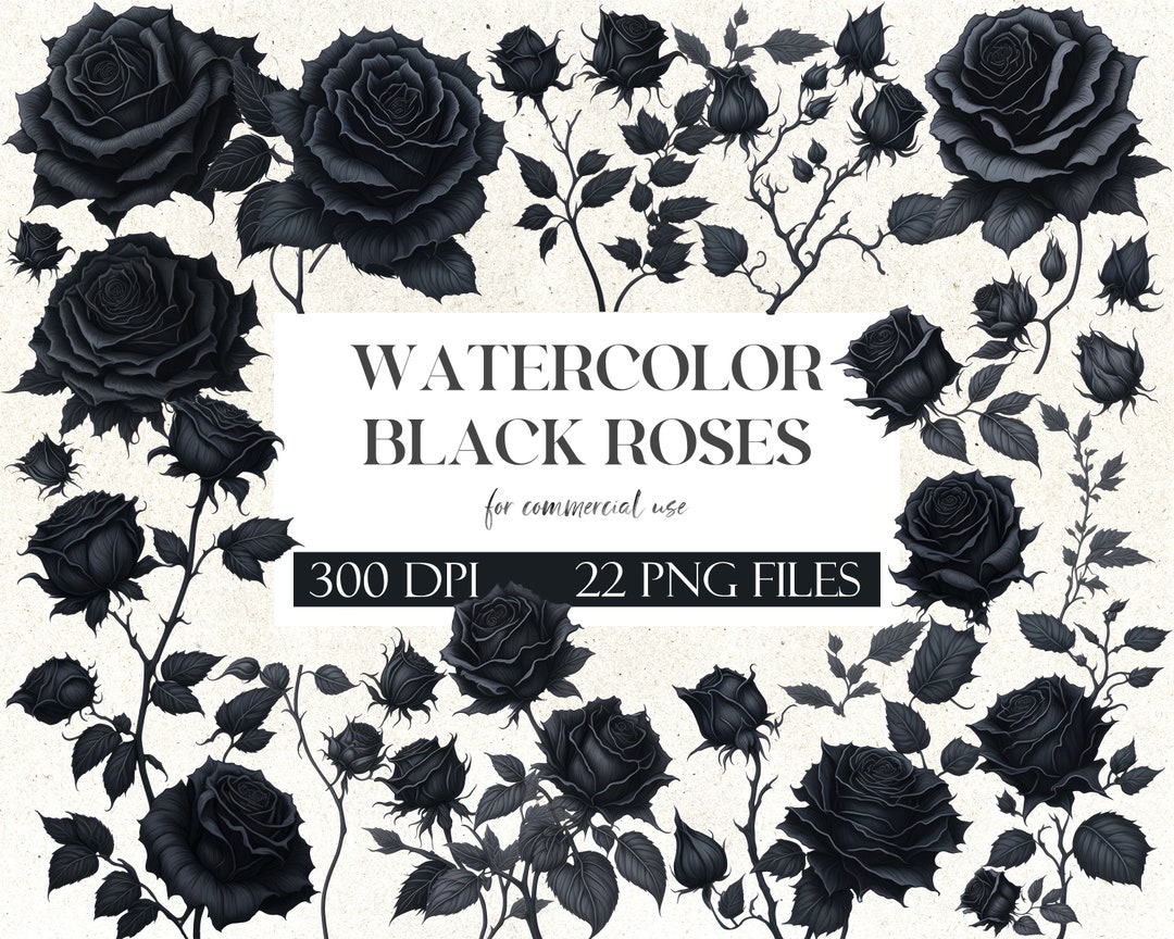 Watercolor Black Roses Clipart Pack | Beautiful and Versatile Floral ...