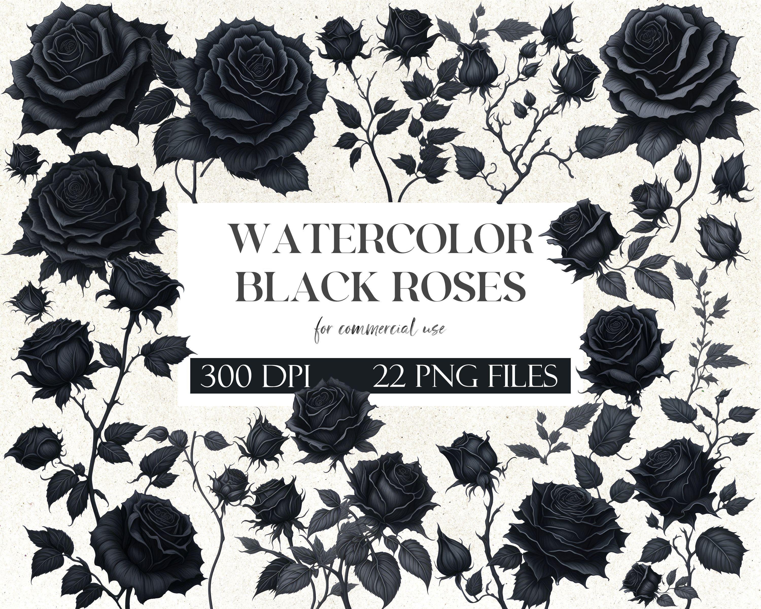Watercolor Black Roses Clipart Pack | Beautiful and Versatile Floral ...