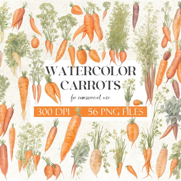Watercolor Carrots - Etsy