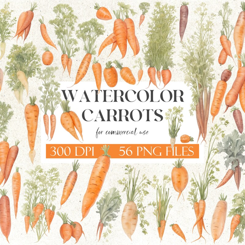 Watercolor Carrots - Etsy