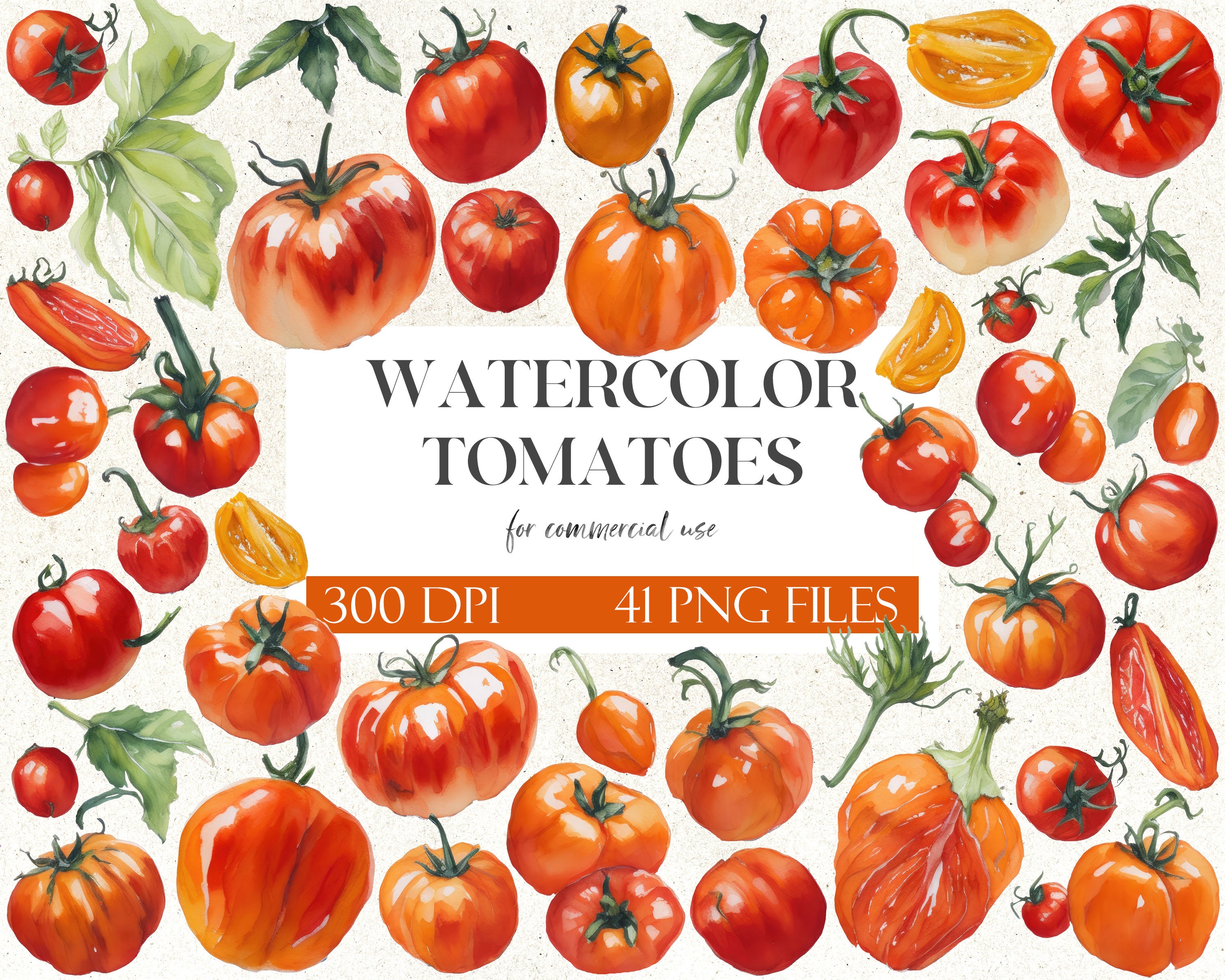 Watercolor Tomato Clipart Pack | Sun-touched Vegetables Illustrations ...