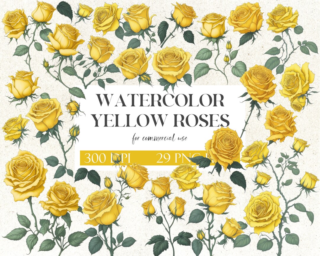Watercolor Yellow Roses Clipart Pack | Digital Floral Graphics ...