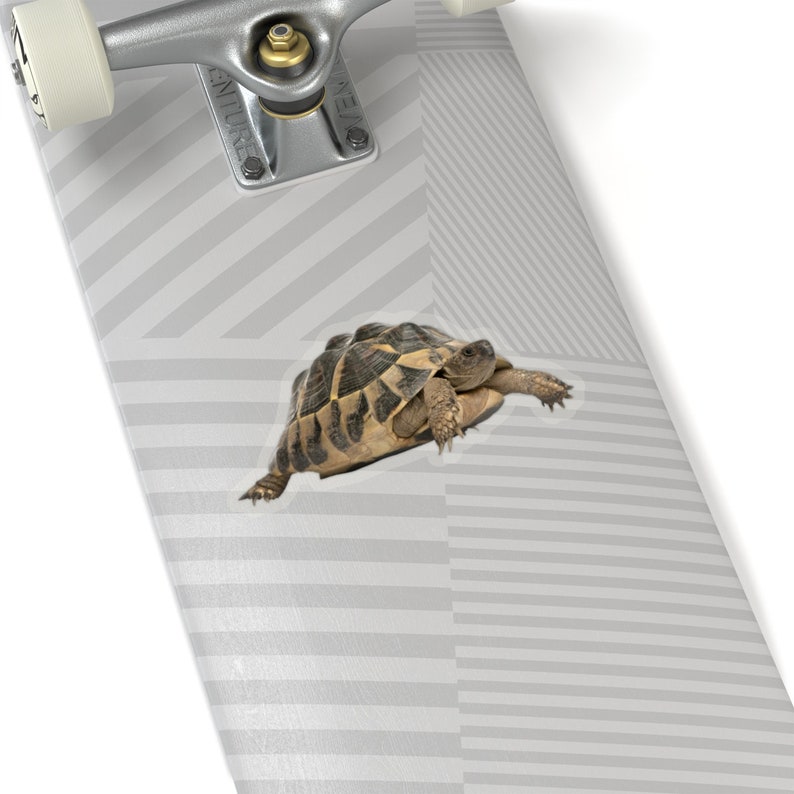 Realistic Tortoise Vinyl Decal - Etsy