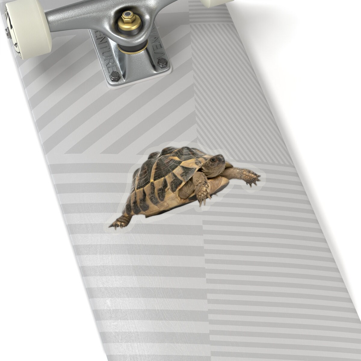 Realistic Tortoise Vinyl Decal - Etsy