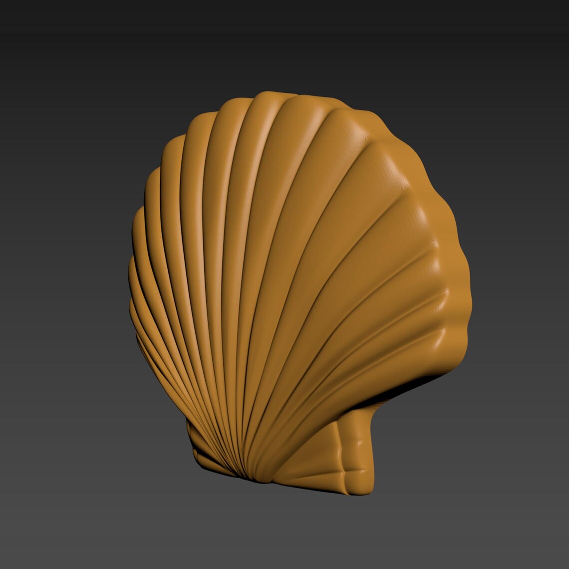 Seashell 3D Model. STL. CNC. Shell. Pearlshell - Etsy