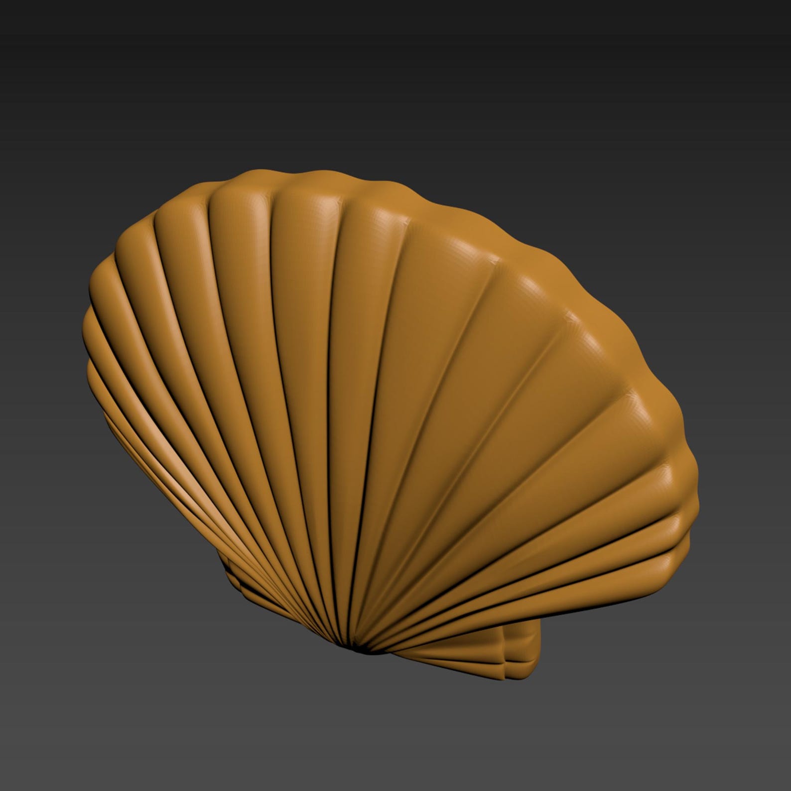 Seashell 3D Model. STL. CNC. Shell. Pearlshell - Etsy