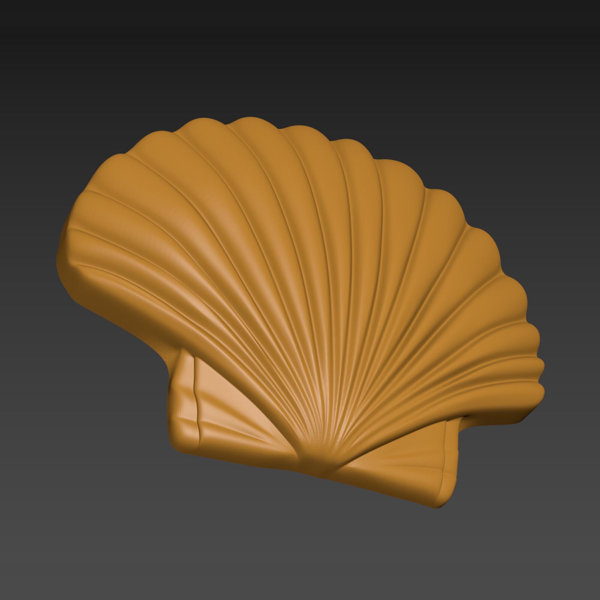 Seashell 3D Model. STL. CNC. Shell. Pearlshell - Etsy