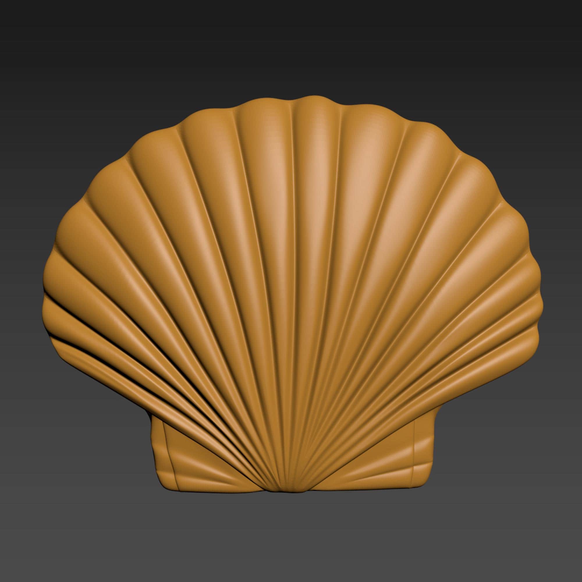 Seashell 3D Model. STL. CNC. Shell. Pearlshell - Etsy
