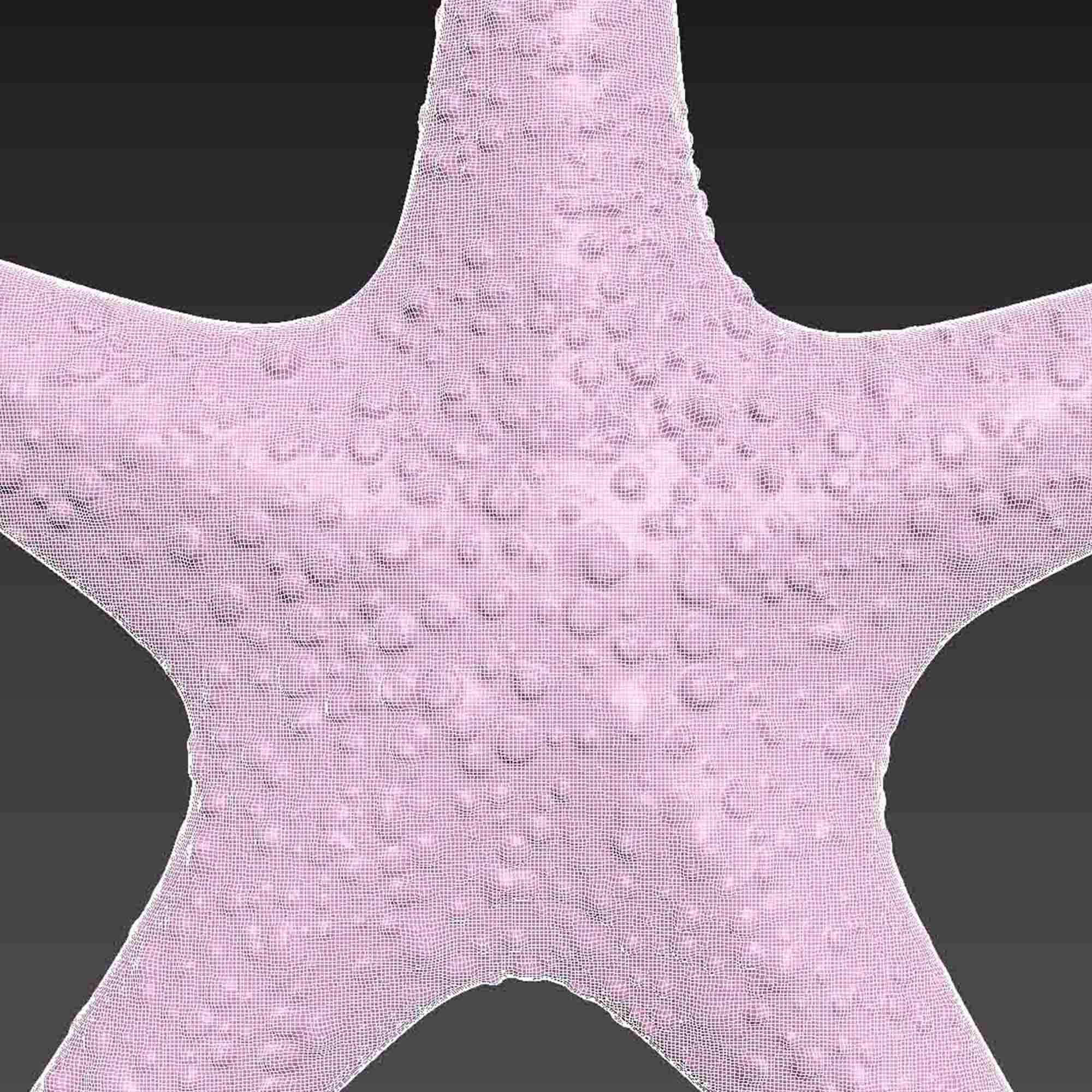 Starfish 3D Model. Sea Star. Five-finger. Stelliform. 3D Print. Stl. - Etsy