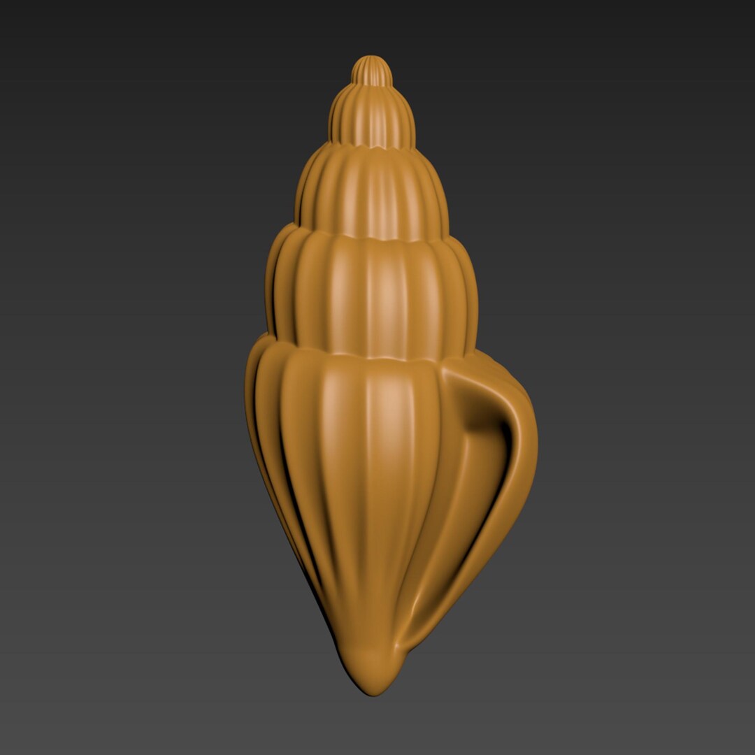 Seashell Clam. 3D Print Model. STL. Shell. - Etsy