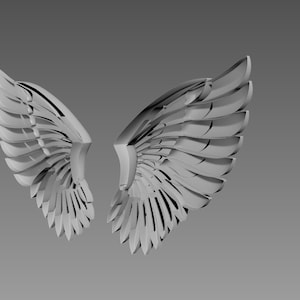 Wings Relief. Bas-relief. 3D Model for CNC. Woodcarving. - Etsy