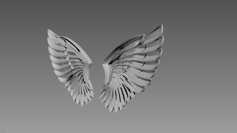 Wings Relief. Bas-relief. 3D Model for CNC. Woodcarving. - Etsy