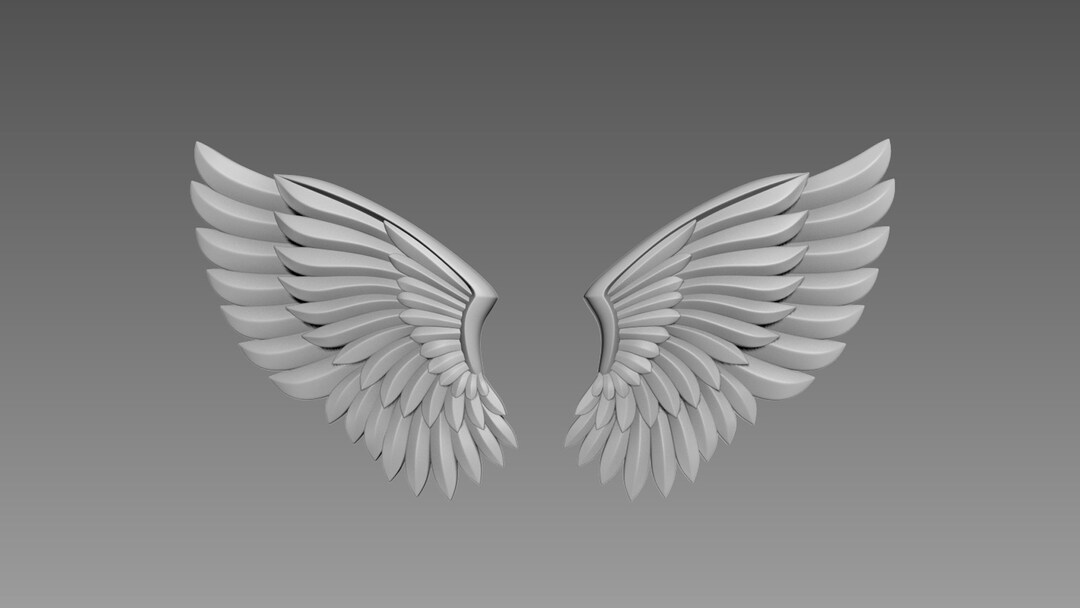 Wings Relief. Bas-relief. 3D Model for CNC. Woodcarving. - Etsy