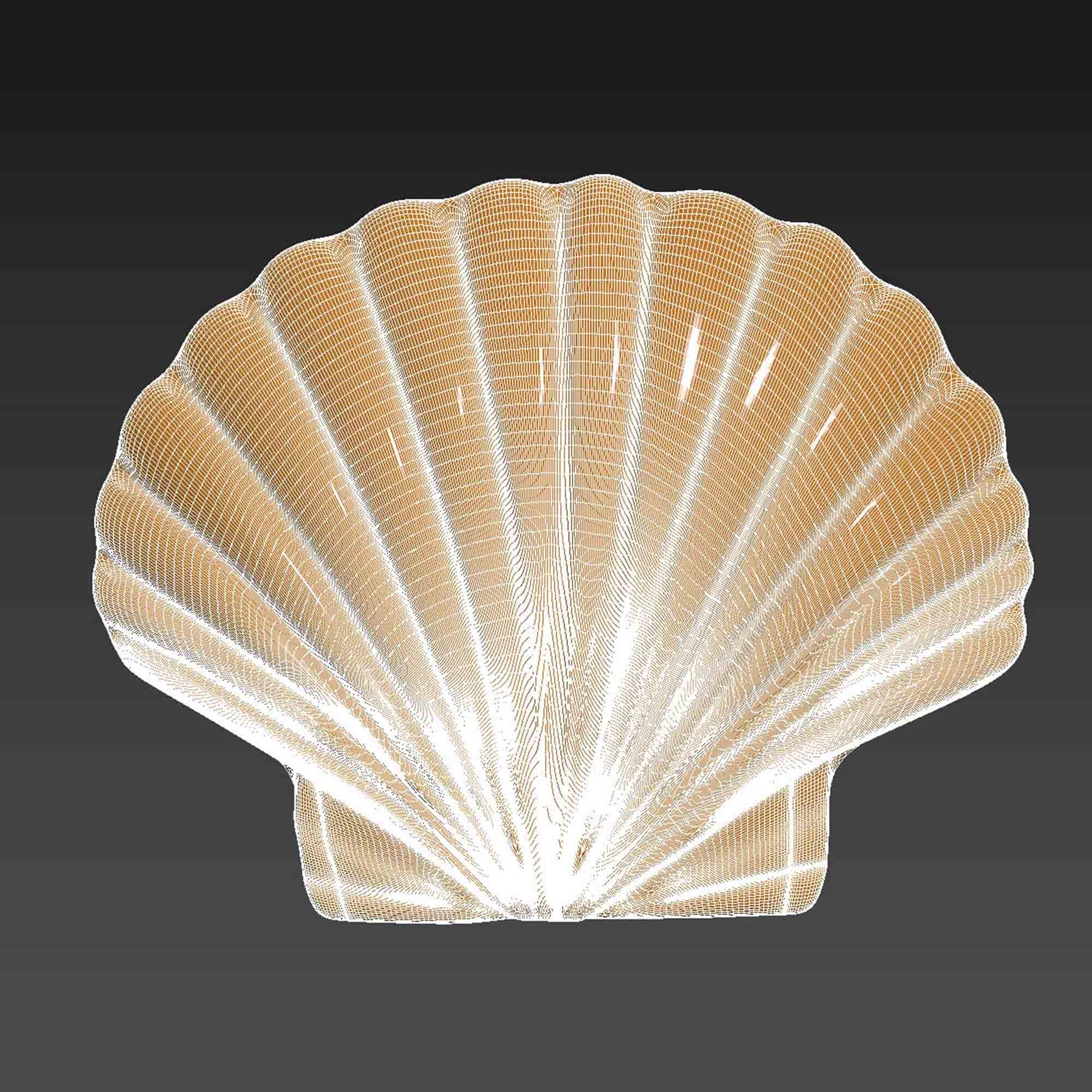 Seashell 3D Model. STL. CNC. Shell. Pearlshell - Etsy